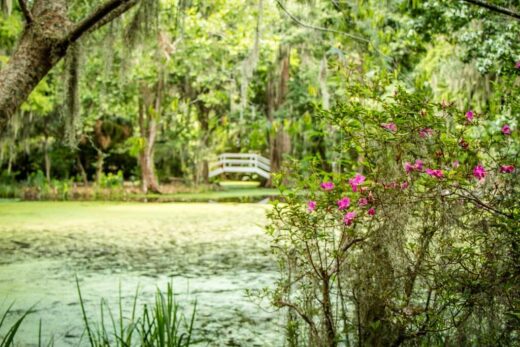 Southern East Coast Road Trip with Kids - Family Can Travel