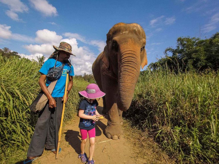 Chiang Mai Elephant Nature Park with Kids - Family Can Travel