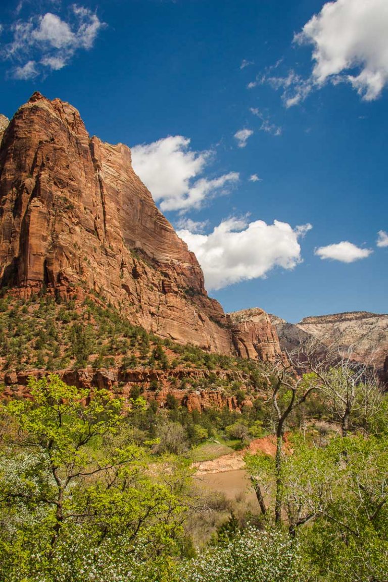 Lower Emerald Pool Trail in Zion National Park - Family Can Travel