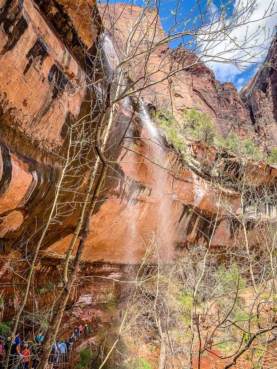 Lower Emerald Pool Trail in Zion National Park - Family Can Travel