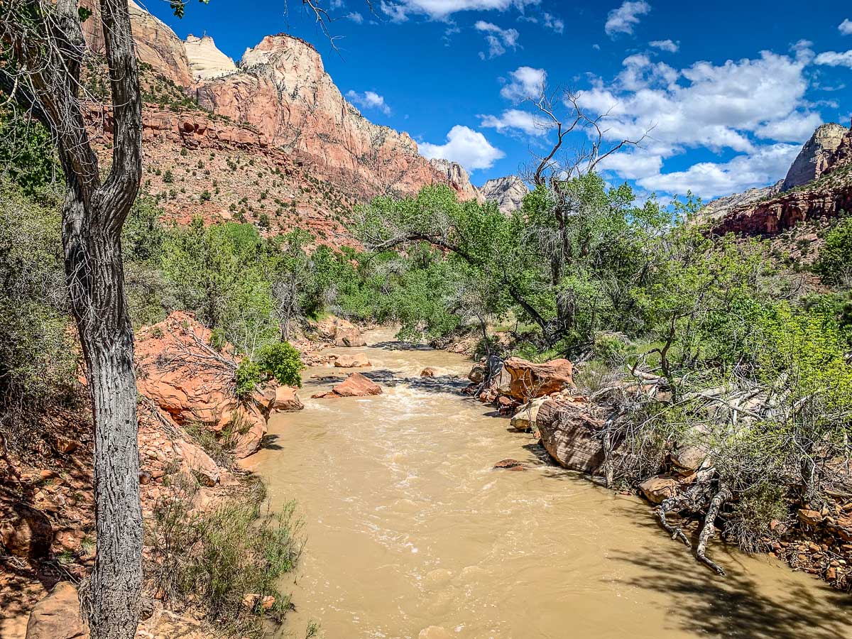 Hiking Pa'rus Trail with Kids in Zion National Park - Family Can Travel