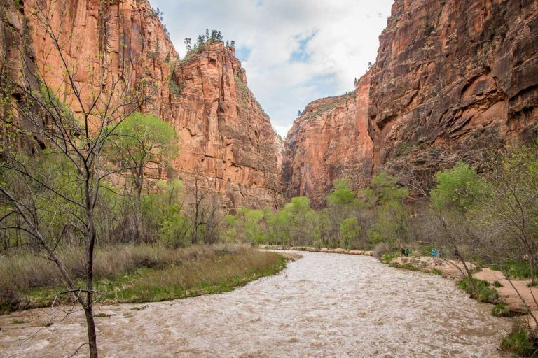 Riverside Walk in Zion National Park - Family Can Travel