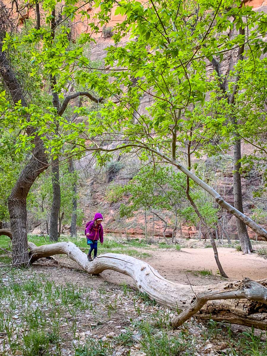 Riverside Walk in Zion National Park - Family Can Travel