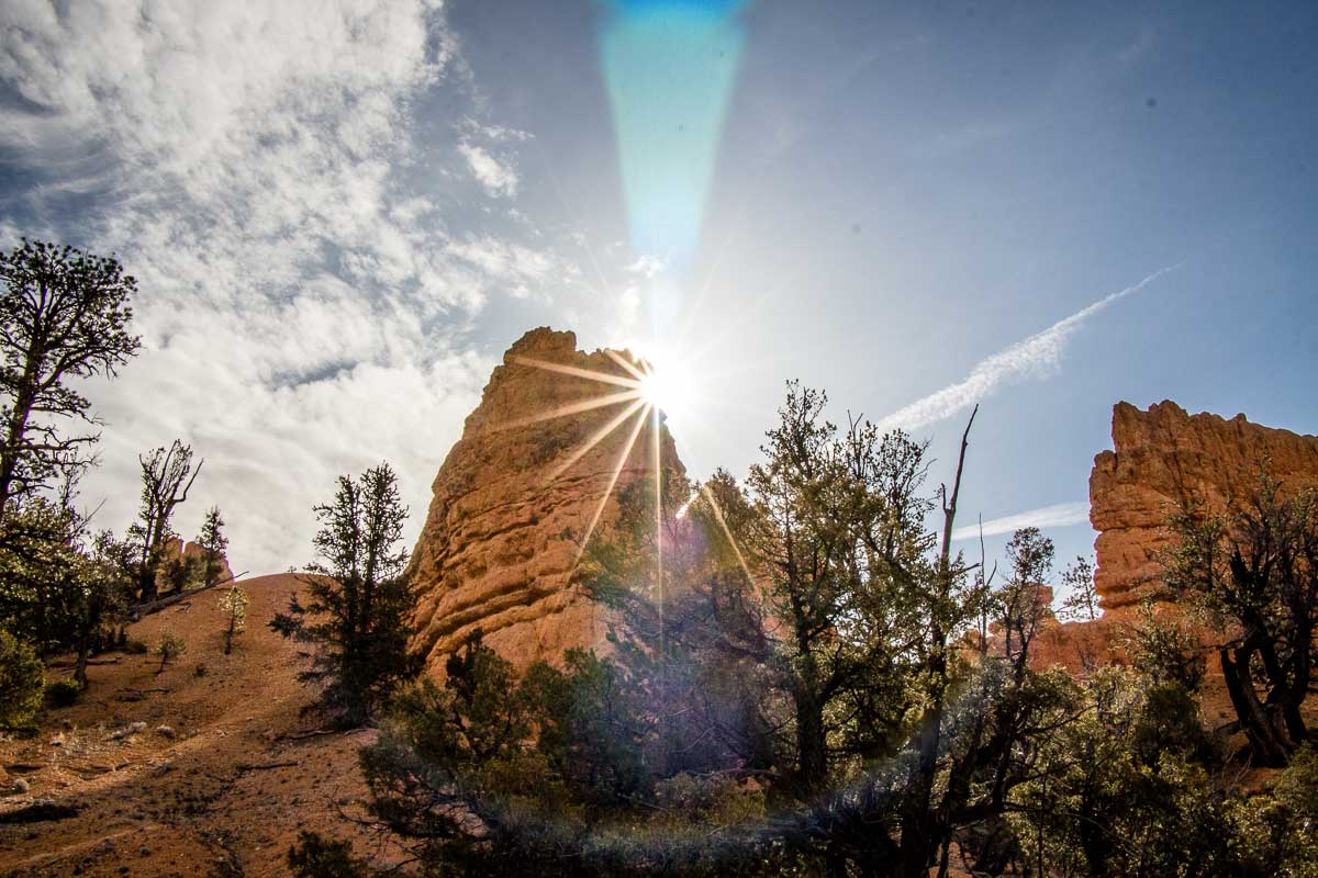 Ultimate Guide to Bryce Canyon National Park with Kids - Family Can Travel