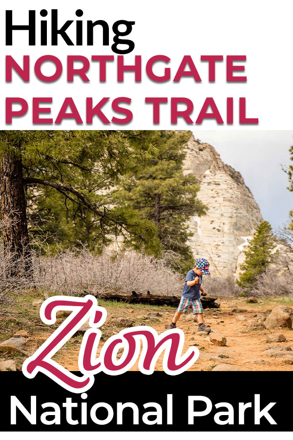 Hiking Northgate Peaks Trail with Kids in Zion National Park - Family ...