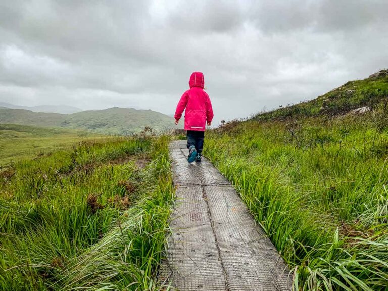 Torc Mountain Hike in Killarney National Park, Ireland - Family Can Travel