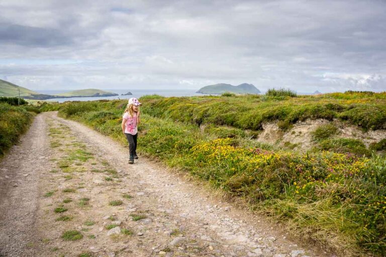 7 Amazing Things to do on the Dingle Peninsula with Kids - Family Can ...