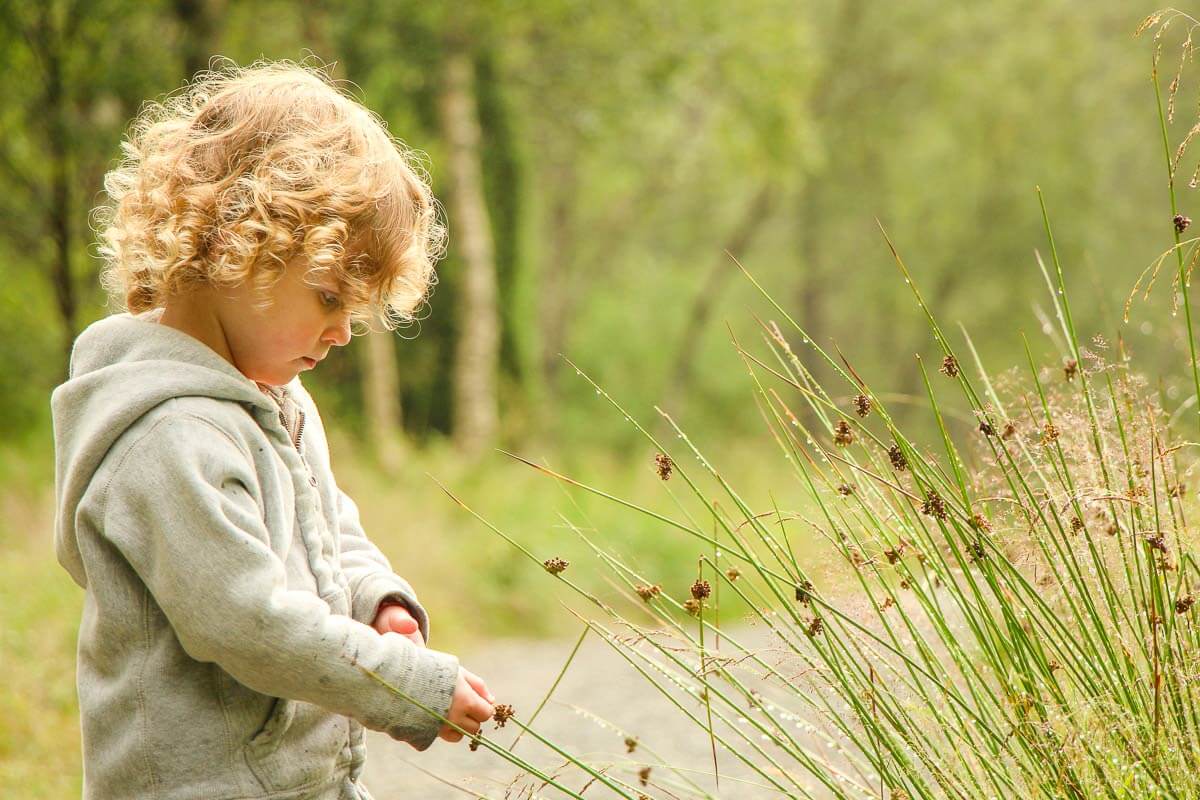 25 Tips for Hiking with Kids - Family Can Travel