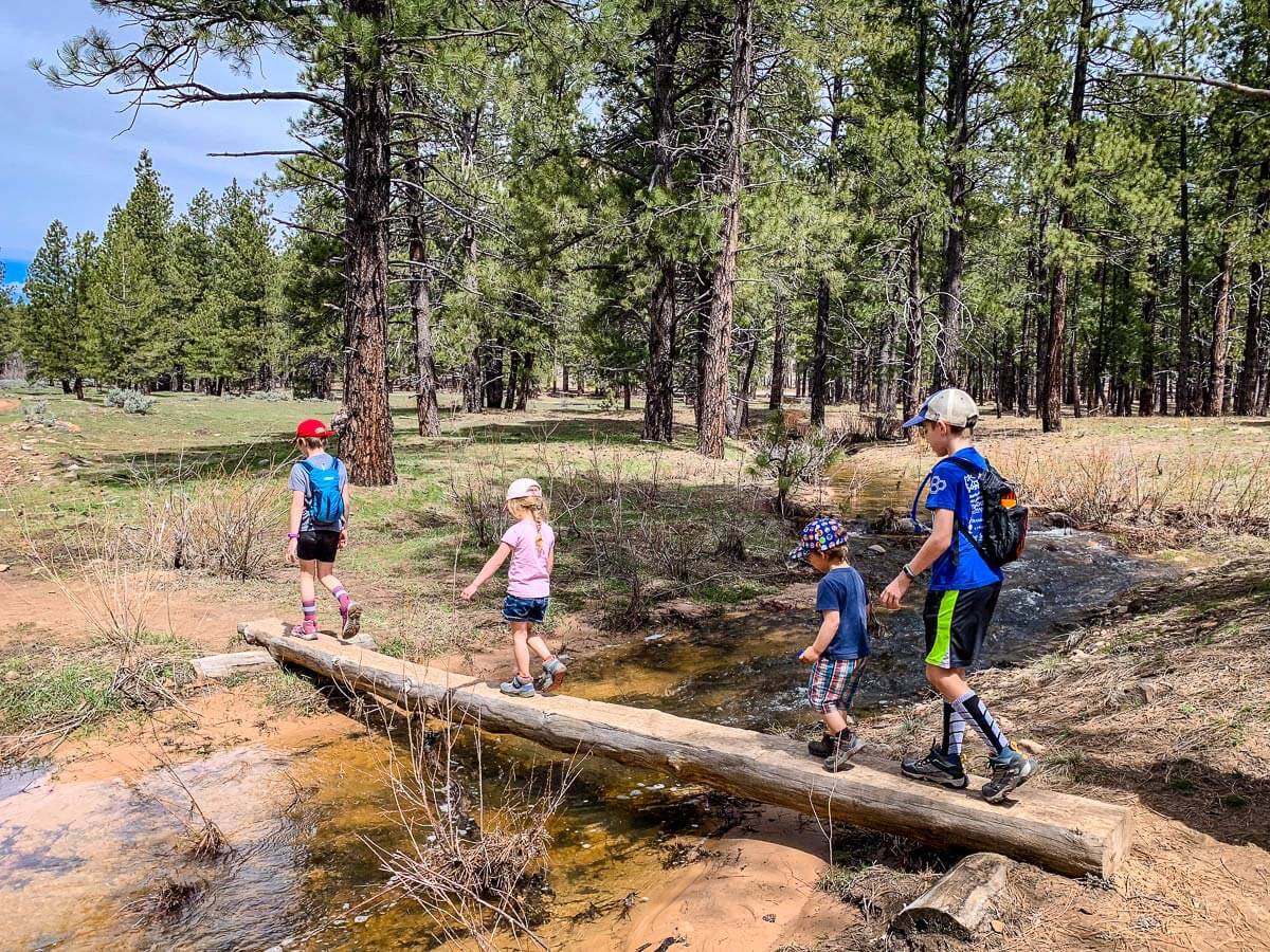 25 Tips for Hiking with Kids - Family Can Travel