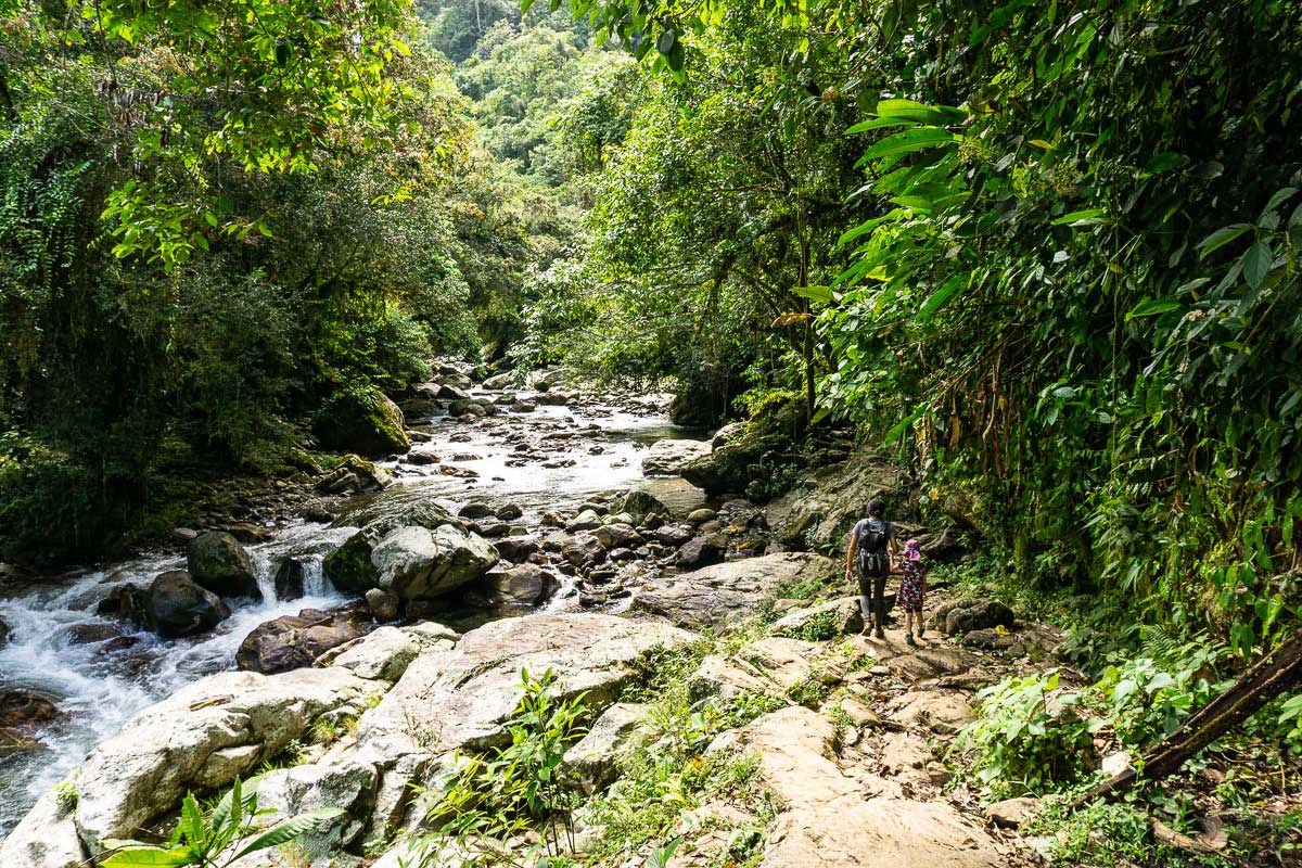 Ciudad Perdida Trek Tips: What to Know Before You Go - Family Can Travel