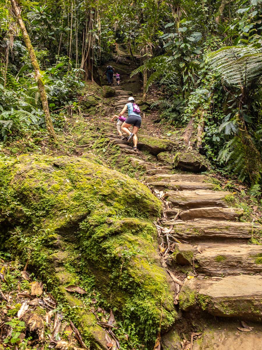 Ciudad Perdida Trek Tips: What to Know Before You Go - Family Can Travel