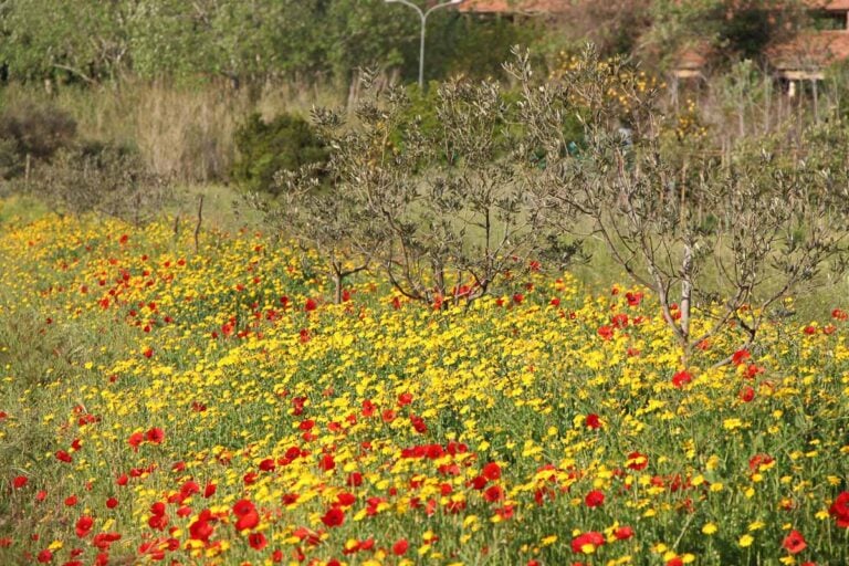 Italy Itinerary with Kids: 10, 14 & 30 Days - Family Can Travel