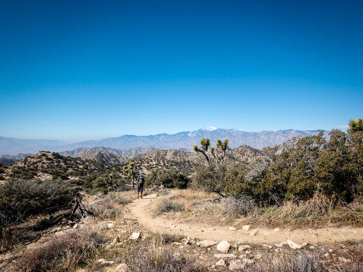 Hiking Panorama Loop Trail with Kids in Joshua Tree National Park ...