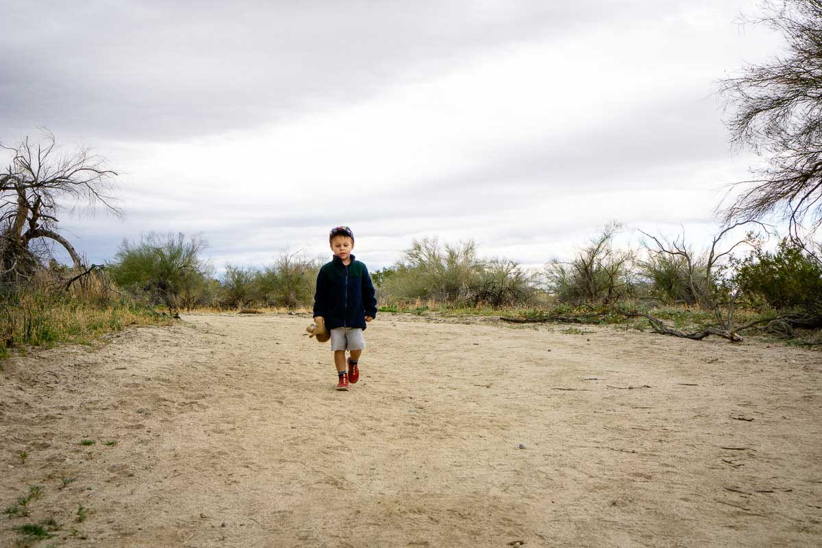 Hiking the Wilderness Loop in Palm Desert - Family Can Travel