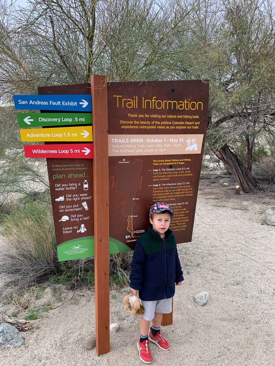 Hiking the Wilderness Loop in Palm Desert - Family Can Travel