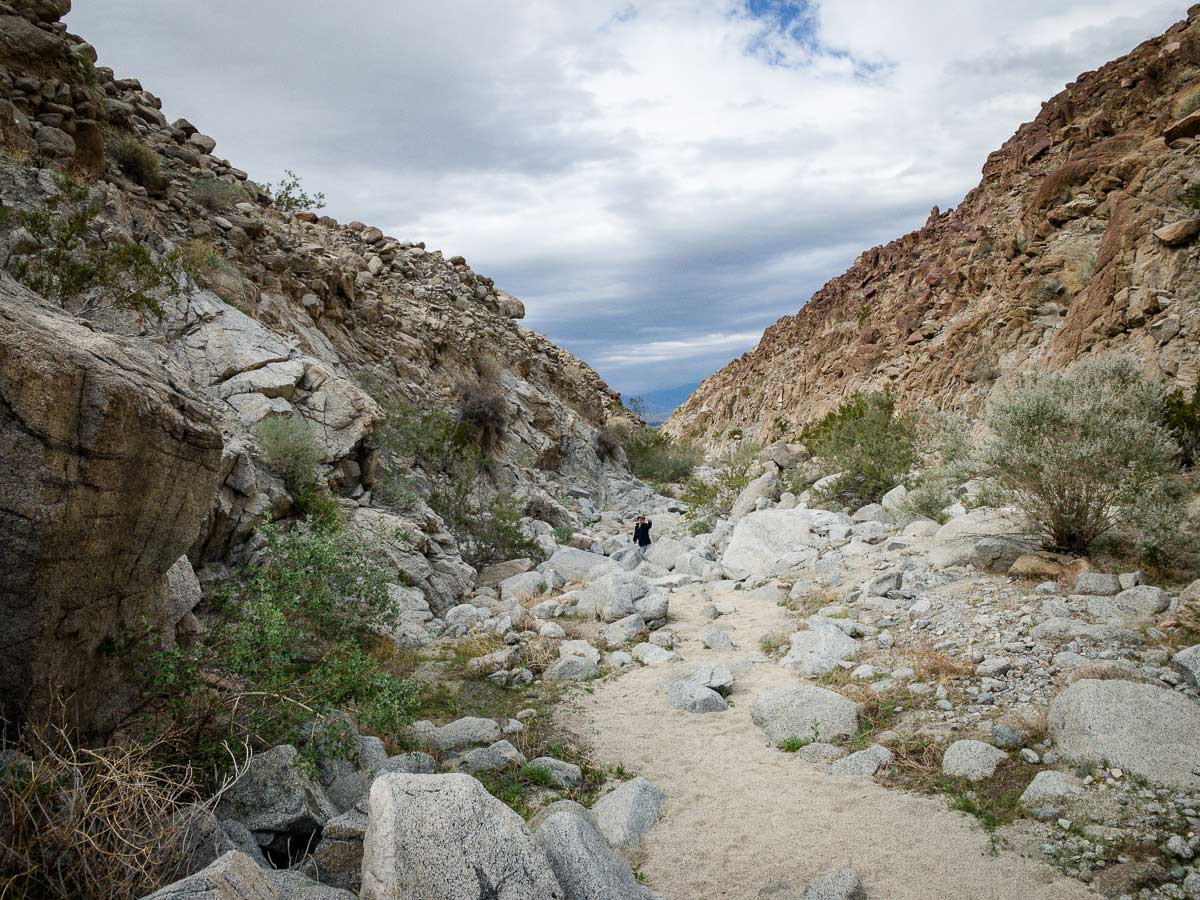 Hiking the Wilderness Loop in Palm Desert - Family Can Travel