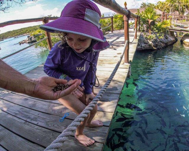 Top 22 Tips for Visiting Xel-Ha, Mexico - Family Can Travel