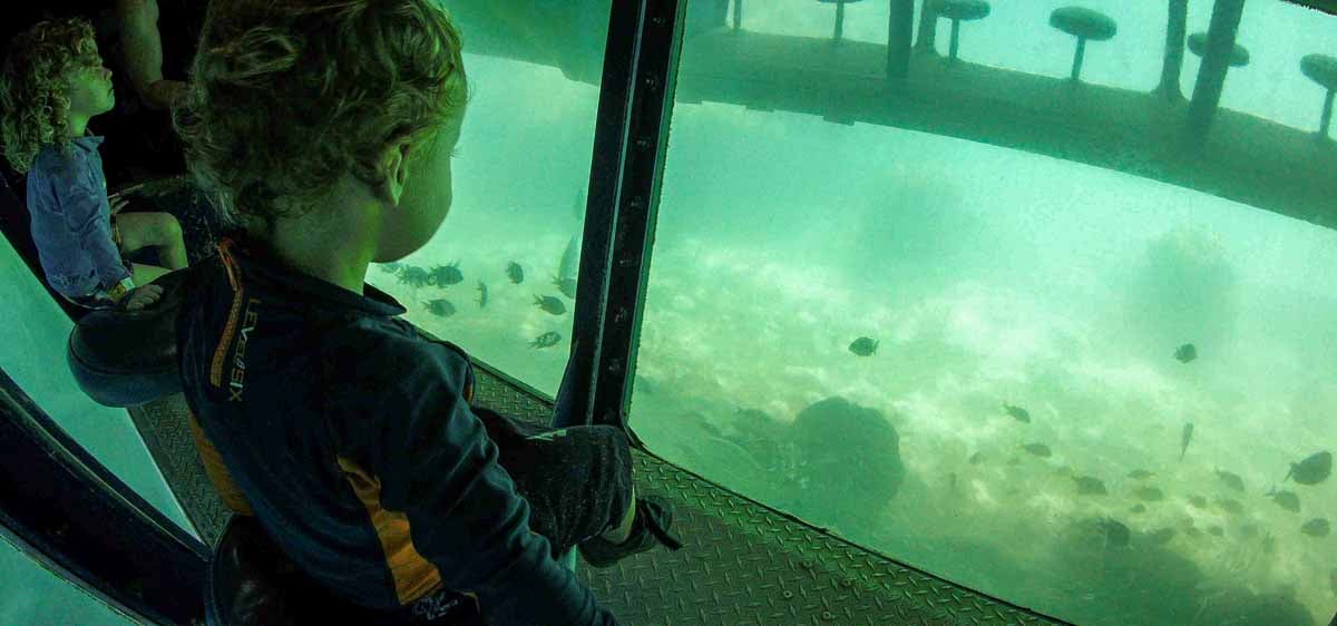 Top 22 Tips for Visiting Xel-Ha, Mexico - Family Can Travel