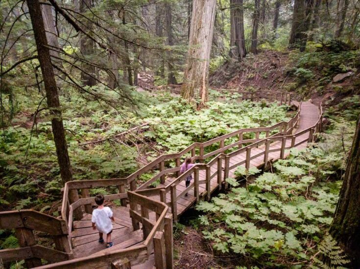 11 Easy Hikes in Revelstoke - Family Can Travel