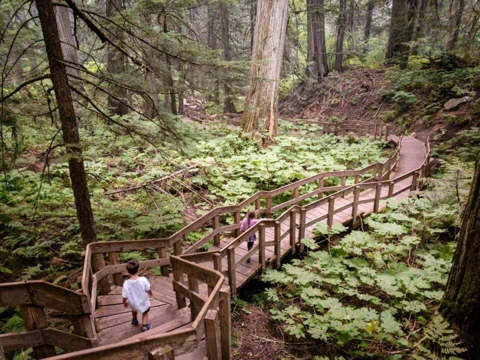 11 Easy Hikes in Revelstoke - Family Can Travel