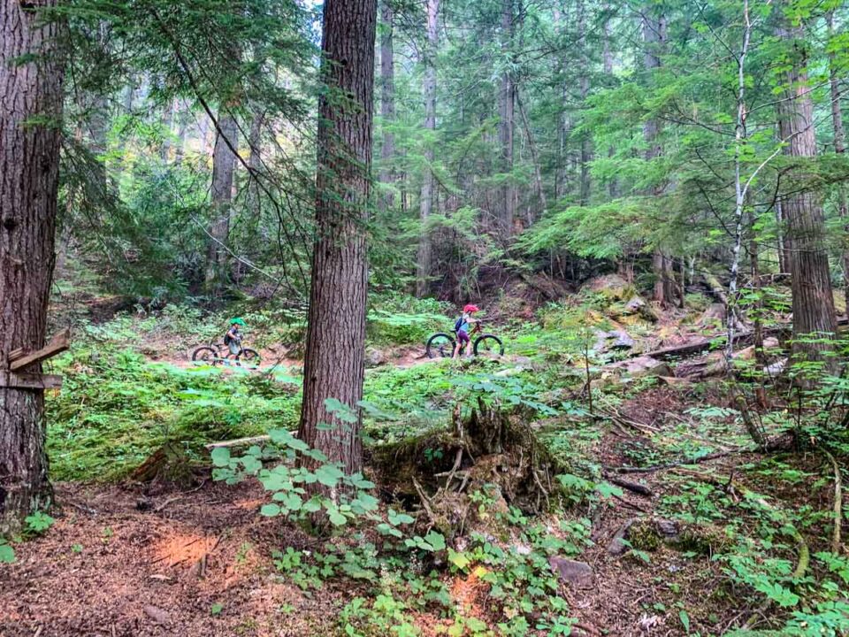 8 Easy Revelstoke Mountain Biking Trails - Family Can Travel