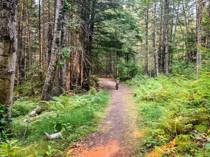 8 Easy Revelstoke Mountain Biking Trails - Family Can Travel