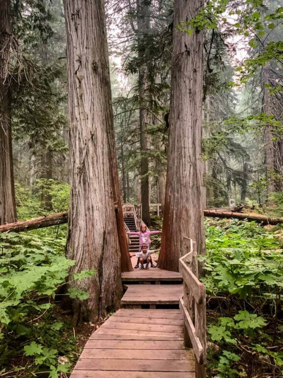 11 Easy Hikes in Revelstoke - Family Can Travel