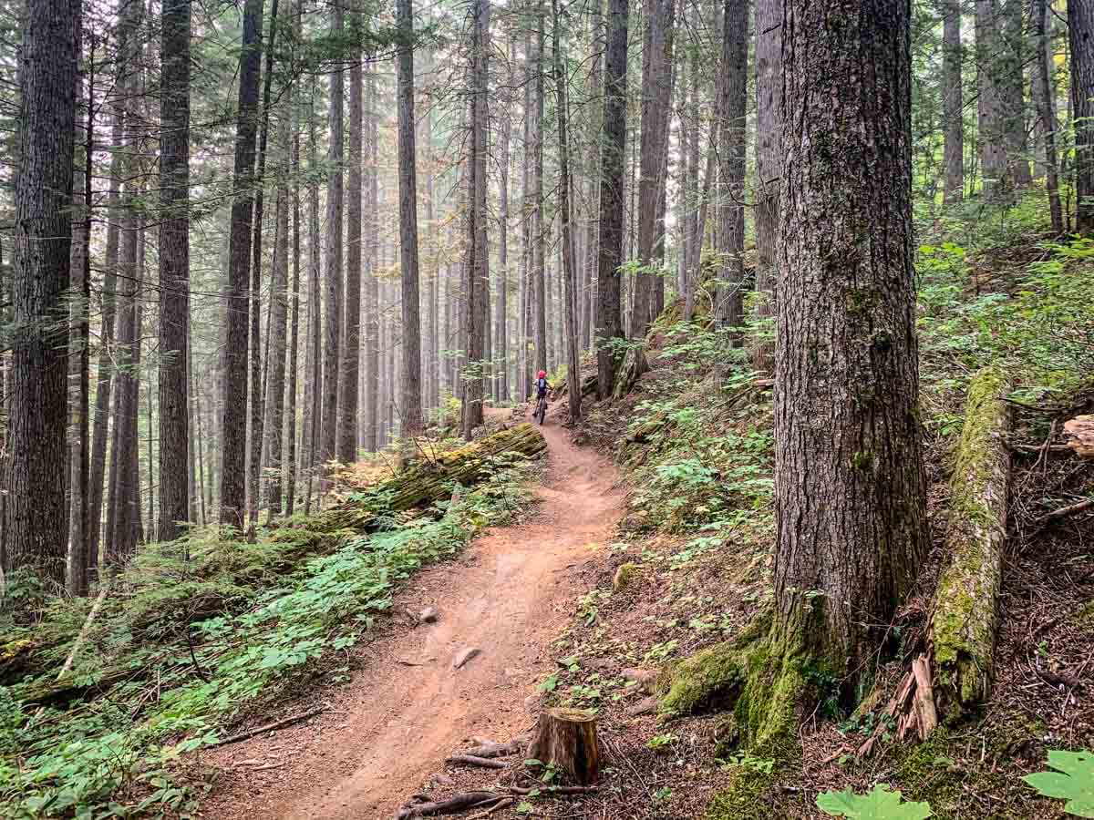 8 Easy Revelstoke Mountain Biking Trails - Family Can Travel