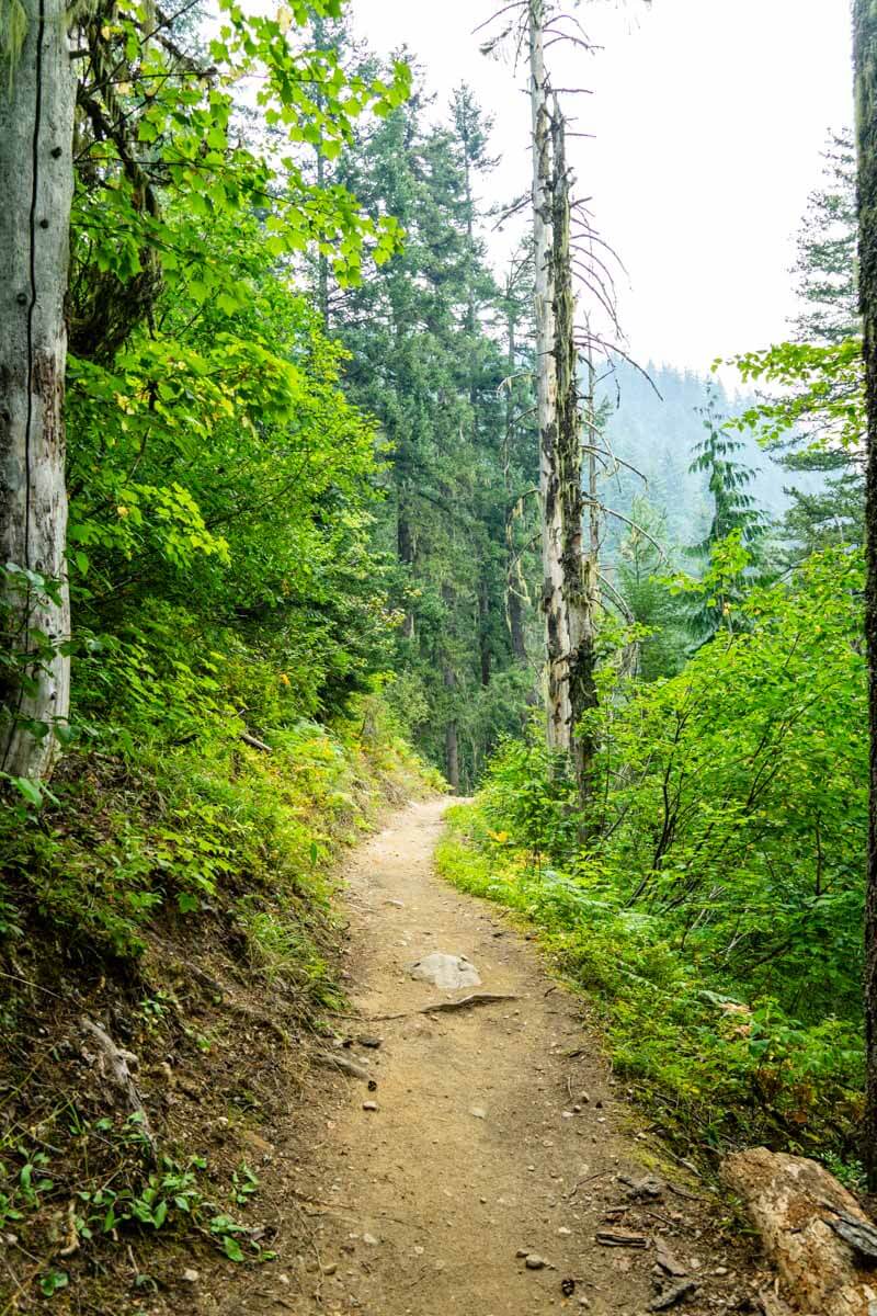 11 Easy Hikes in Revelstoke - Family Can Travel