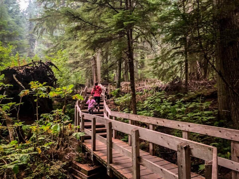 11 Easy Hikes in Revelstoke - Family Can Travel