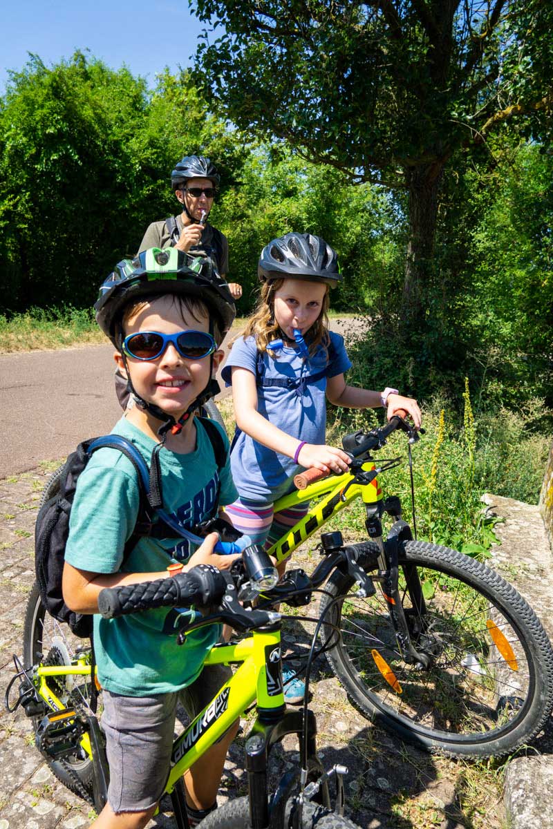 Alsace Family Cycling Holidays in France - Family Can Travel