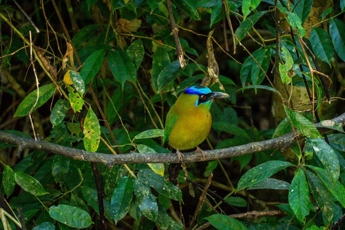 Manuel Antonio National Park with Kids - Family Can Travel