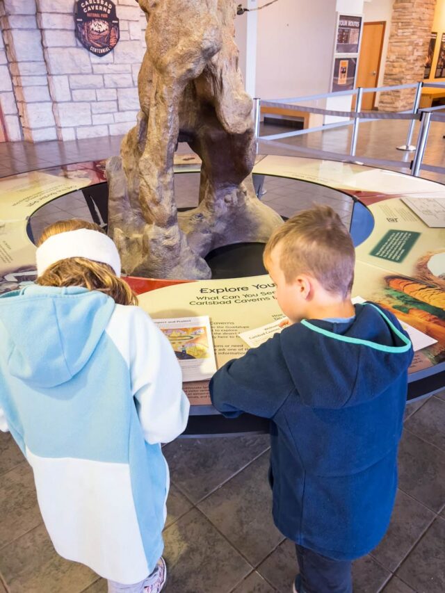 Carlsbad Caverns with Kids - Family Can Travel
