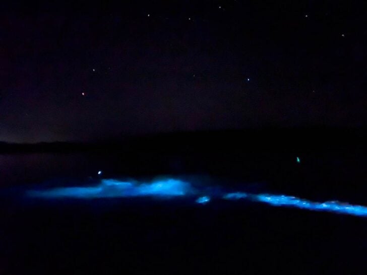 Visiting Vieques with Kids - Family Can Travel