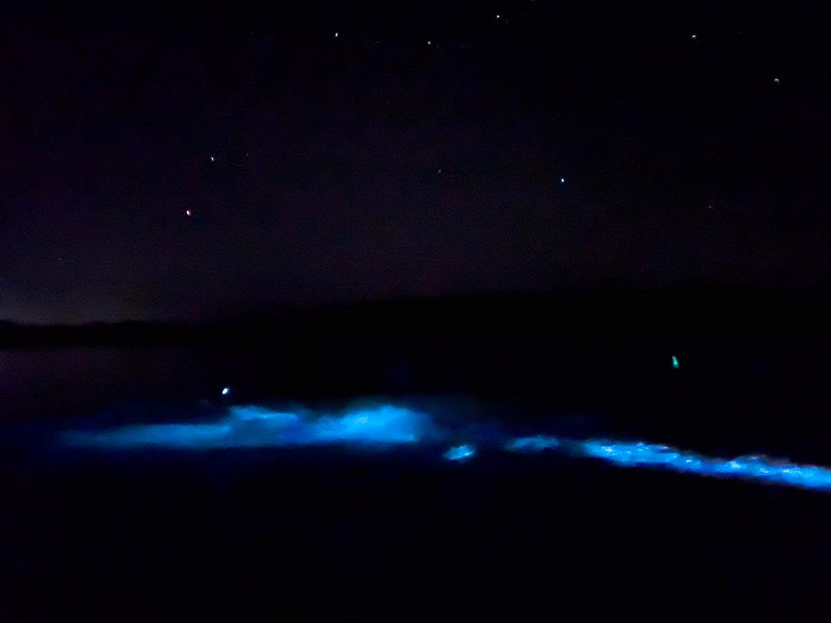 Visiting Vieques with Kids - Family Can Travel