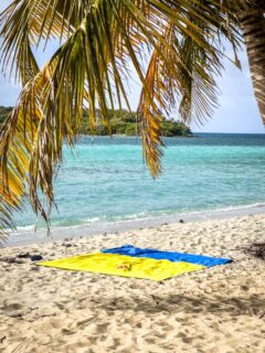 The 9 Best Beaches in Vieques, Puerto Rico - Family Can Travel