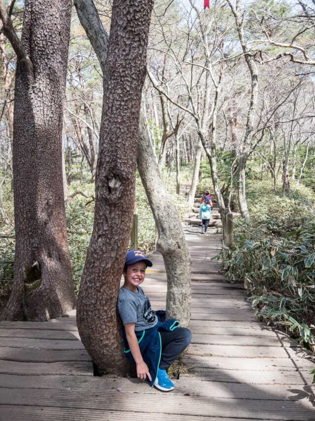 Jeju Island With Kids - Family Can Travel