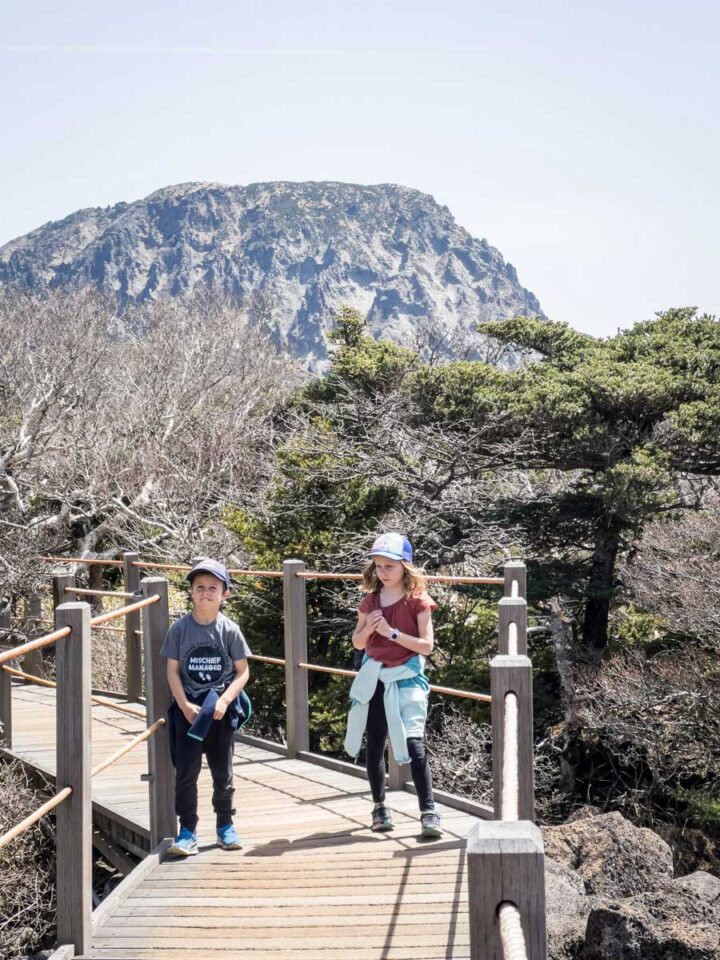Jeju Island With Kids - Family Can Travel