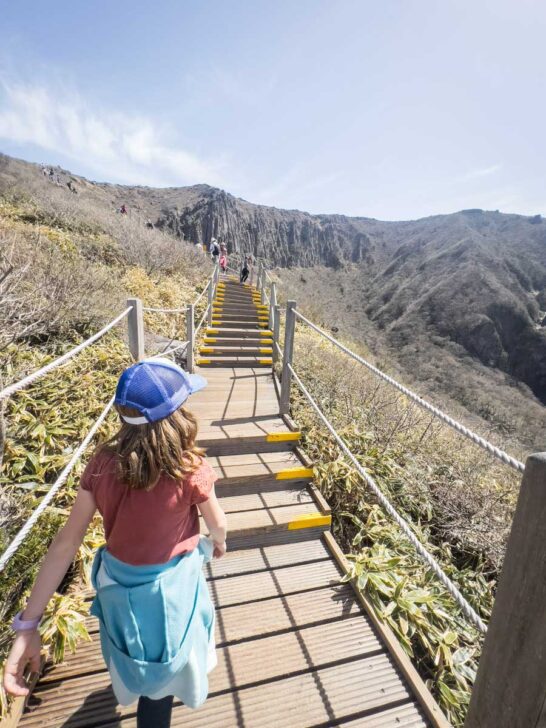 Jeju Island With Kids - Family Can Travel