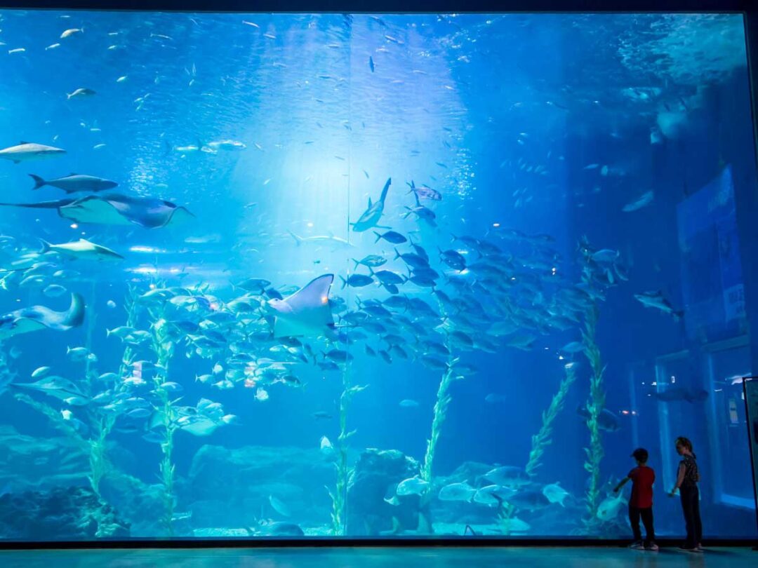 Jeju Island With Kids - Family Can Travel