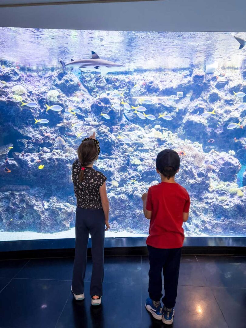 Jeju Island With Kids - Family Can Travel