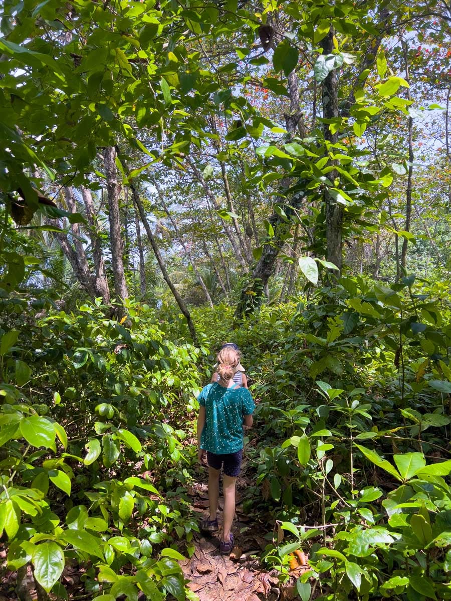 3 Days in Bocas del Toro with Kids - Family Can Travel
