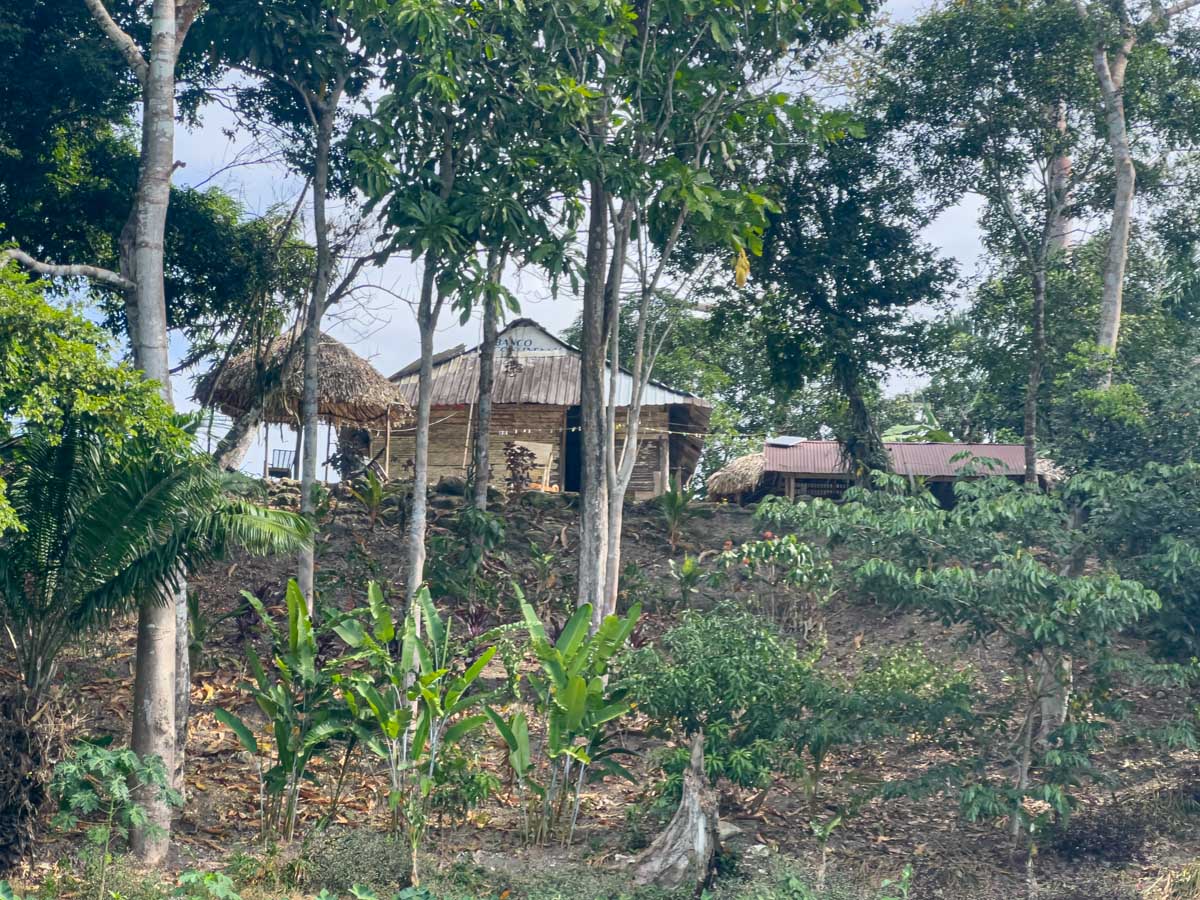 Panama City With Kids - Family Can Travel