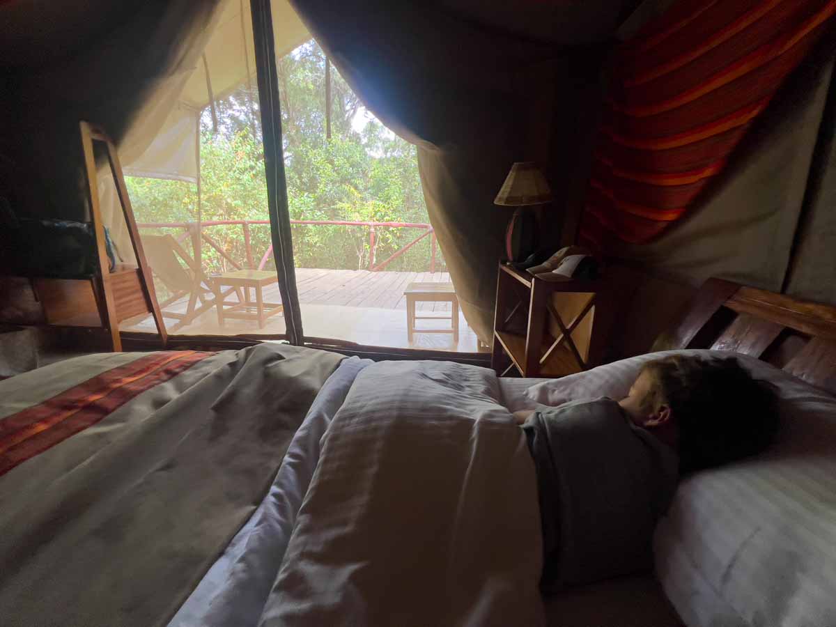 15 Must Read Tips For Going on Safari With Kids - Family Can Travel